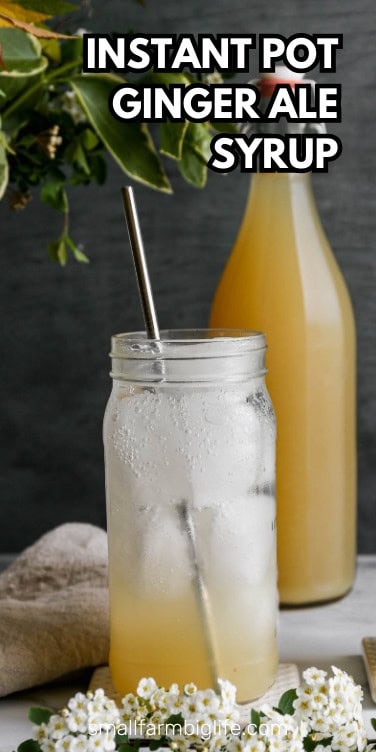 Instant Pot Ginger Ale Syrup - Small Farm Big Life