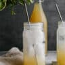 Instant Pot Ginger Ale Syrup - Small Farm Big Life