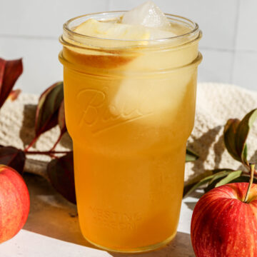 Non Alcoholic Spiced Apple Fizz Drink - Small Farm Big Life
